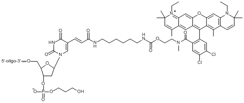 CAL Fluor Red 635 on T; 3' Modification-10833 | LGC Biosearch Technologies