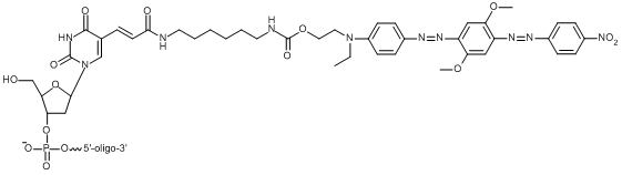 T-BHQ-2 Dark Quencher, abs 560-670 nm; 5' Modification-7896 | LGC ...