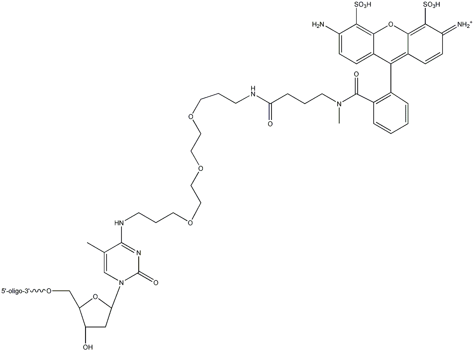 ATTO 488 mdC | LGC Biosearch Technologies