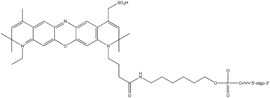 ATTO 700 on AmC6; 5' Modification | LGC Biosearch Technologies