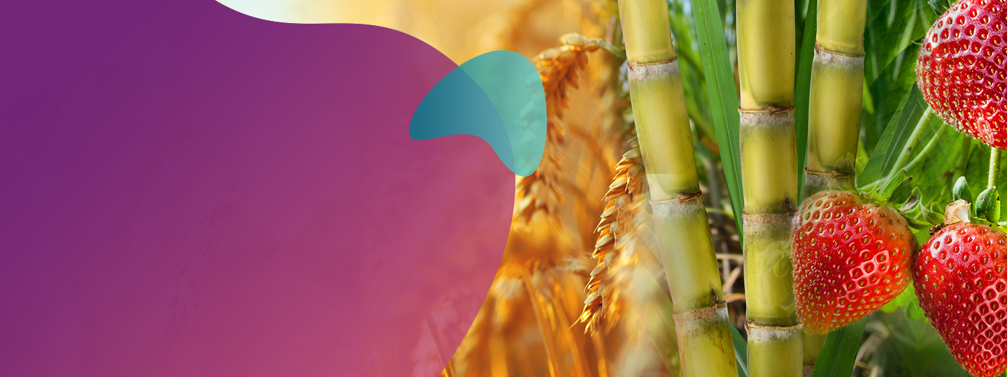 Home | LGC Biosearch Technologies