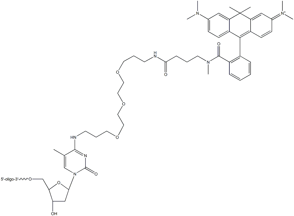 ATTO 620 on mdC amine; 3' Modification | LGC Biosearch Technologies