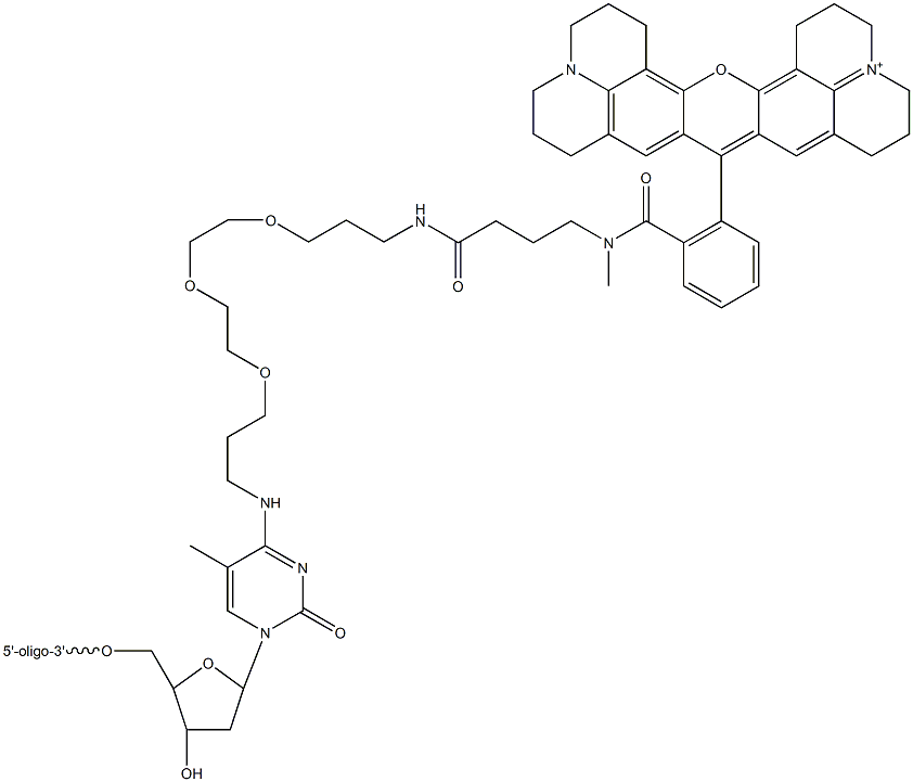 ATTO Rho101 on mdC amine; 3' Modification | LGC Biosearch Technologies