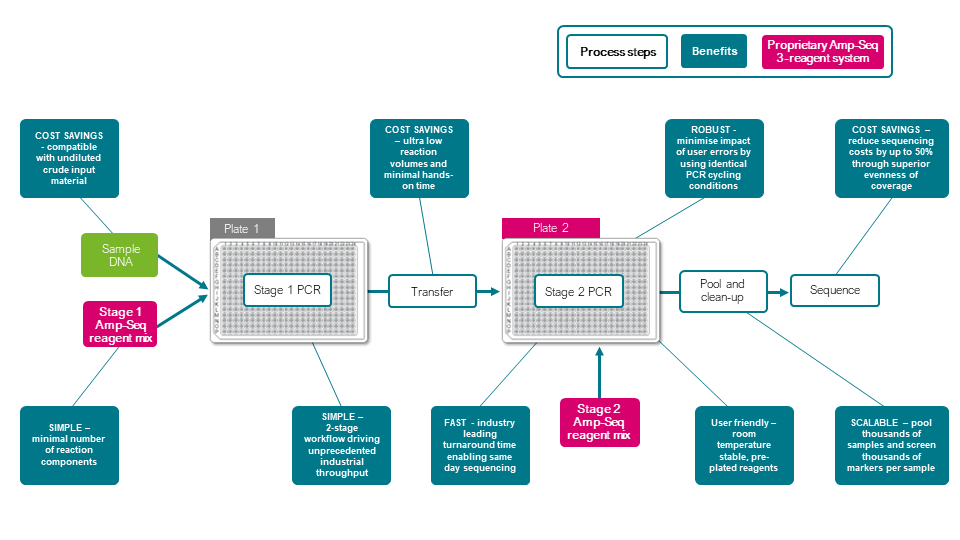 Amp-Seq workflow | LGC, Biosearch Technologies