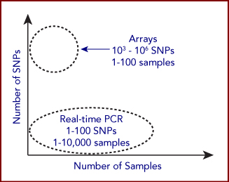 Genotyping - qPCR | LGC Biosearch Technologies